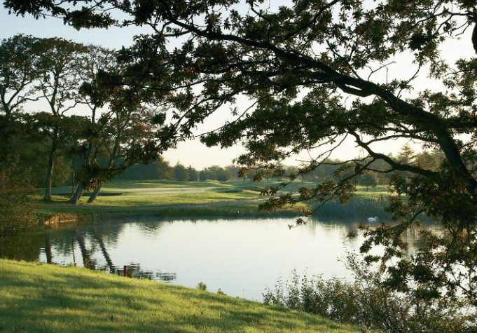 Project 1 – Just another WordPress site